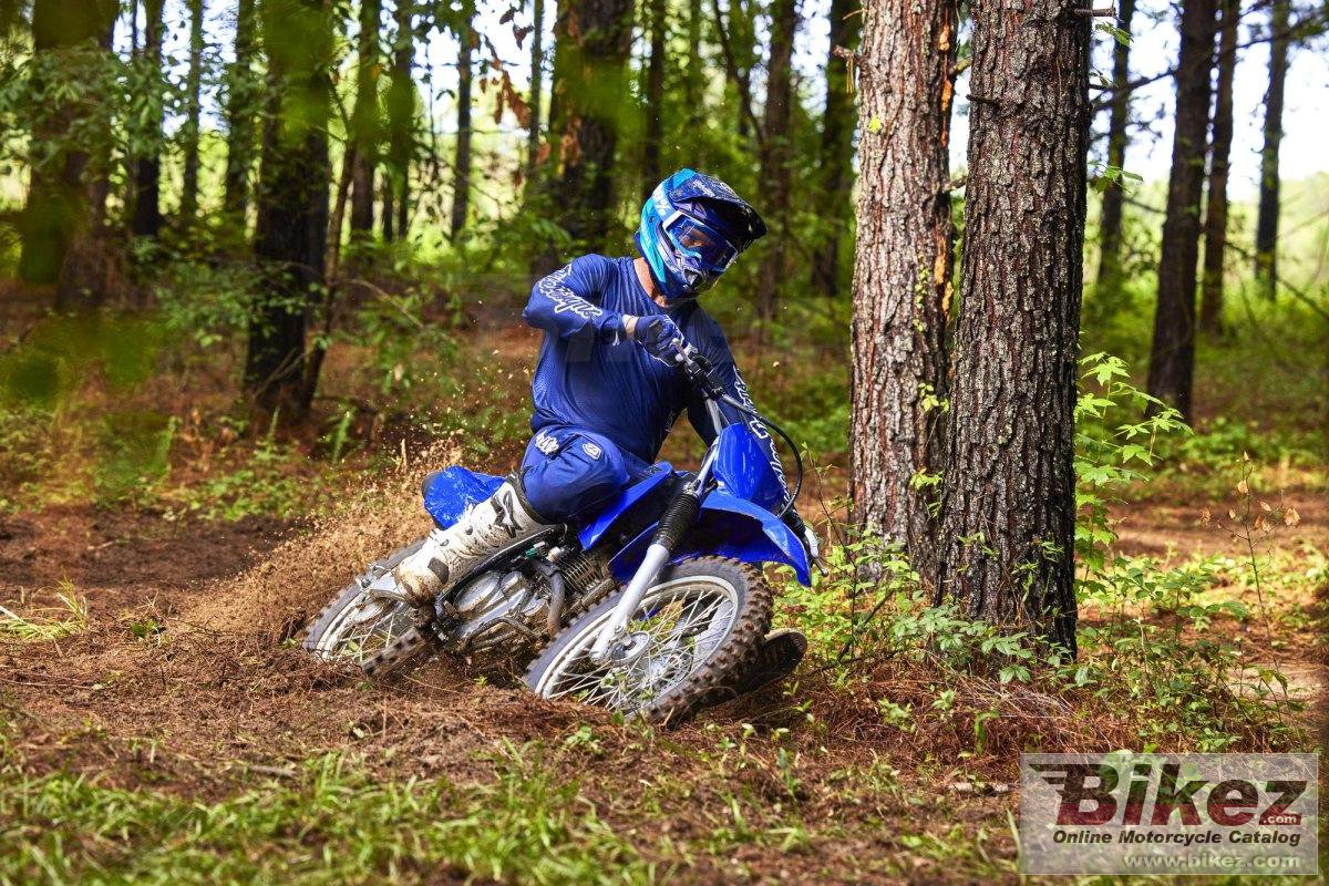 Yamaha TT-R230 poster